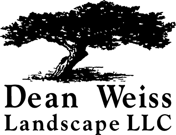 Dean Weiss Landscape